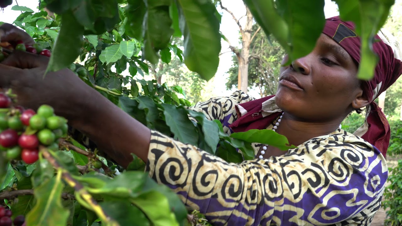 How gratitude transforms our perspective on global trade – Religion ...